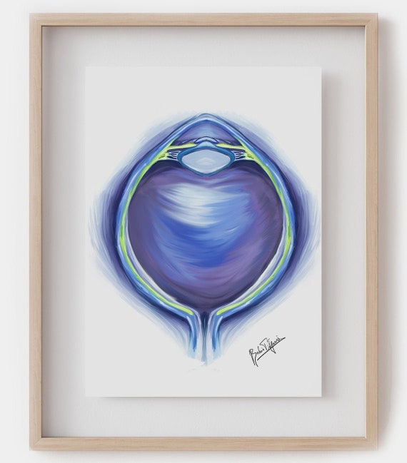 Eye Art Anatomy Print Eyeball Anatomy Wall Art - Etsy