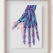 Abstract Hand Anatomy Art Print-hand Bones Muscles - Etsy