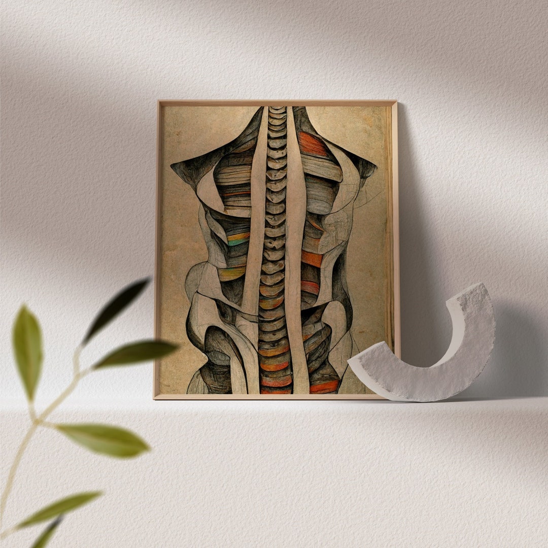 Spine Anatomy Picasso Art,spine Anatomy Art, Spine Art Poster,chiropractic Art,chiropractic ...