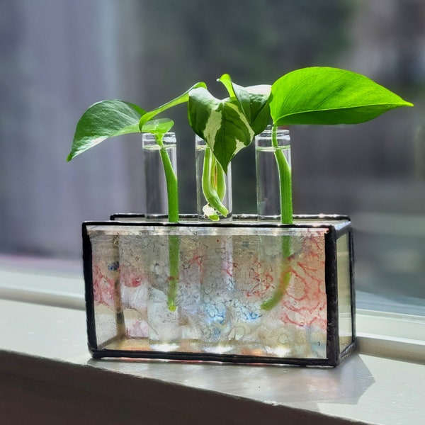 Glass Propagation - Etsy