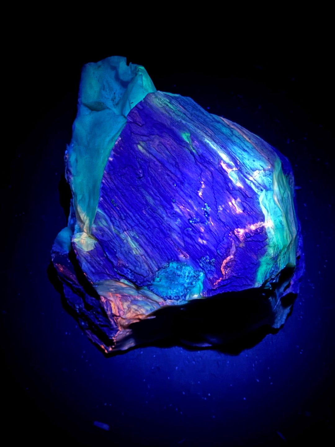 UV Fluorescent Opalized Petrified Wood | Nevada Fossil Display | Glows ...