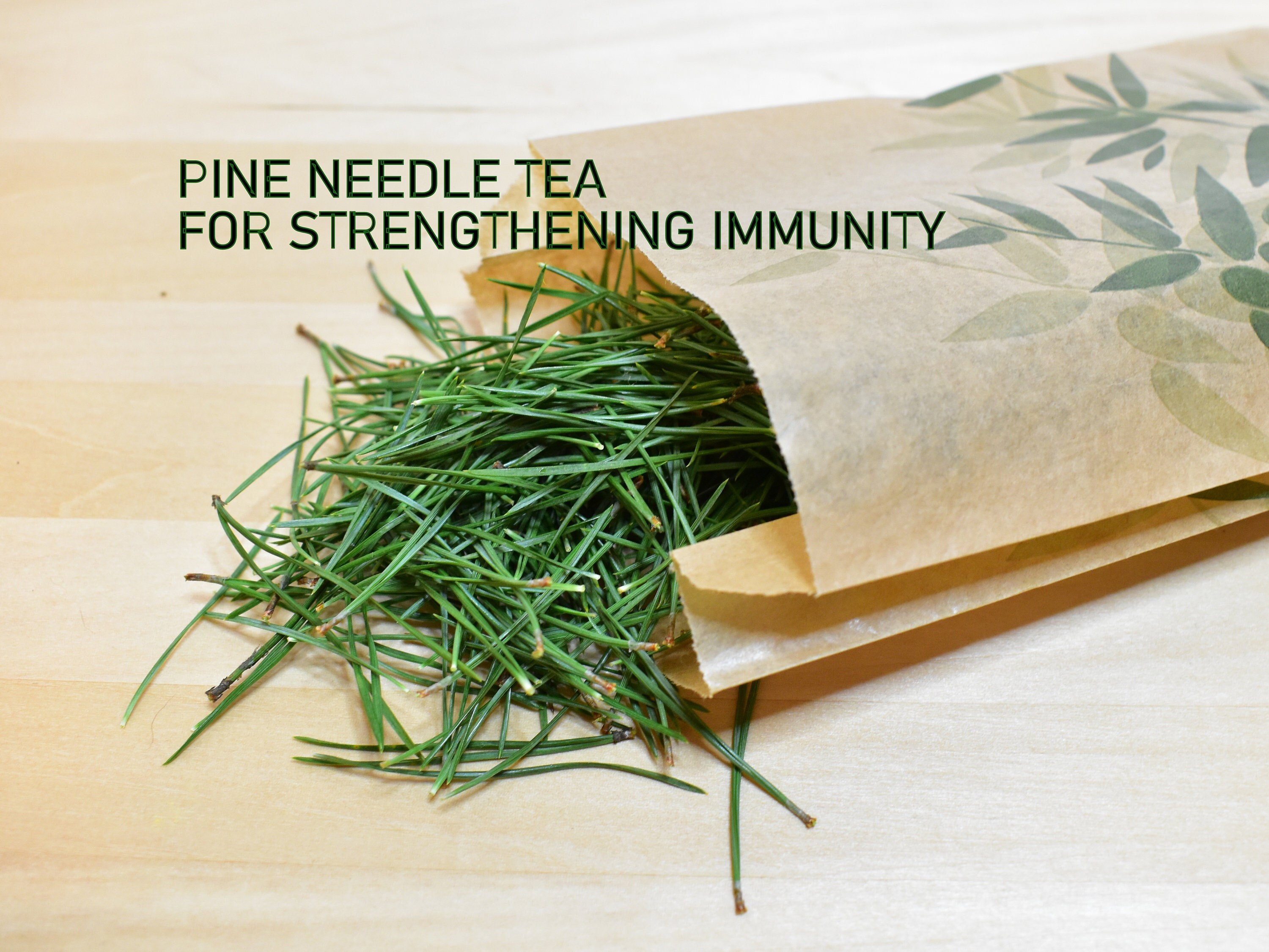 Organic Fresh Pine Needle Tea 150 G / 5 OZ , Suramine Herb ...