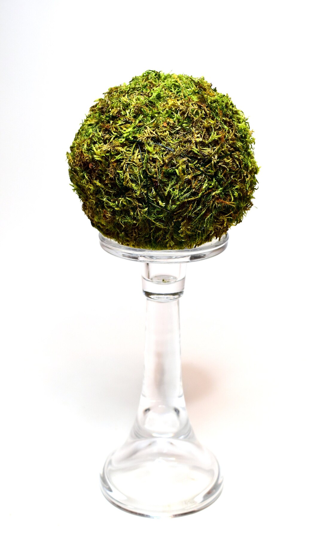 Moss Balls, Decorative Spheres, Dried Decore - Etsy