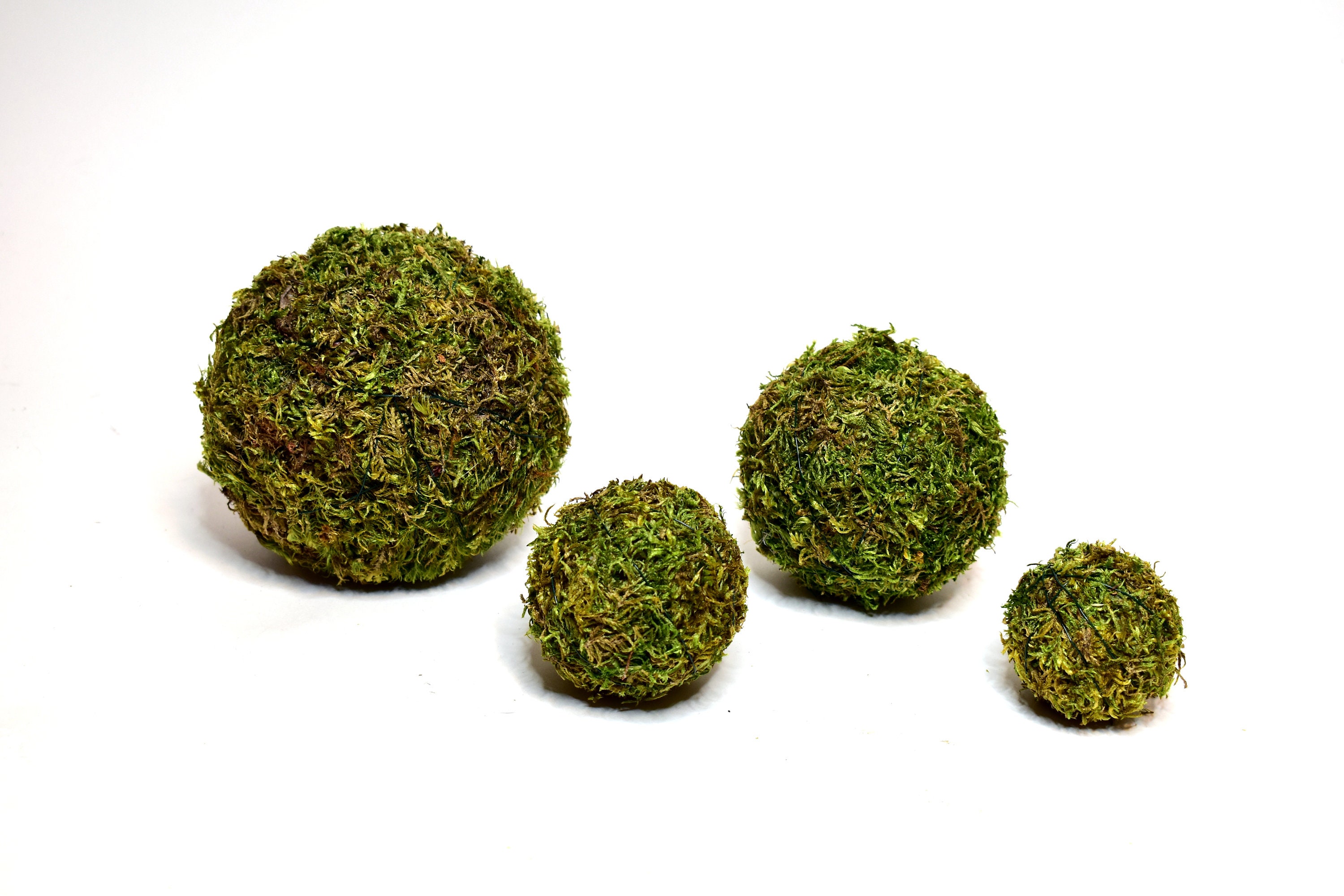 Moss Balls, Decorative Spheres, Dried Decore - Etsy