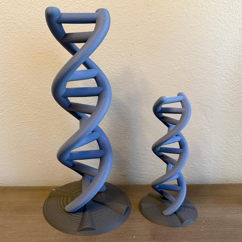 DNA Statue Rosalind Franklin Tribute, Multi-color, Carbon Fiber - Etsy