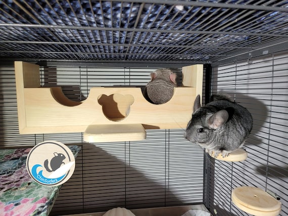 Chinchilla Bridge Hanging Tunnel 15 W/4x5 Ledge Option - Etsy