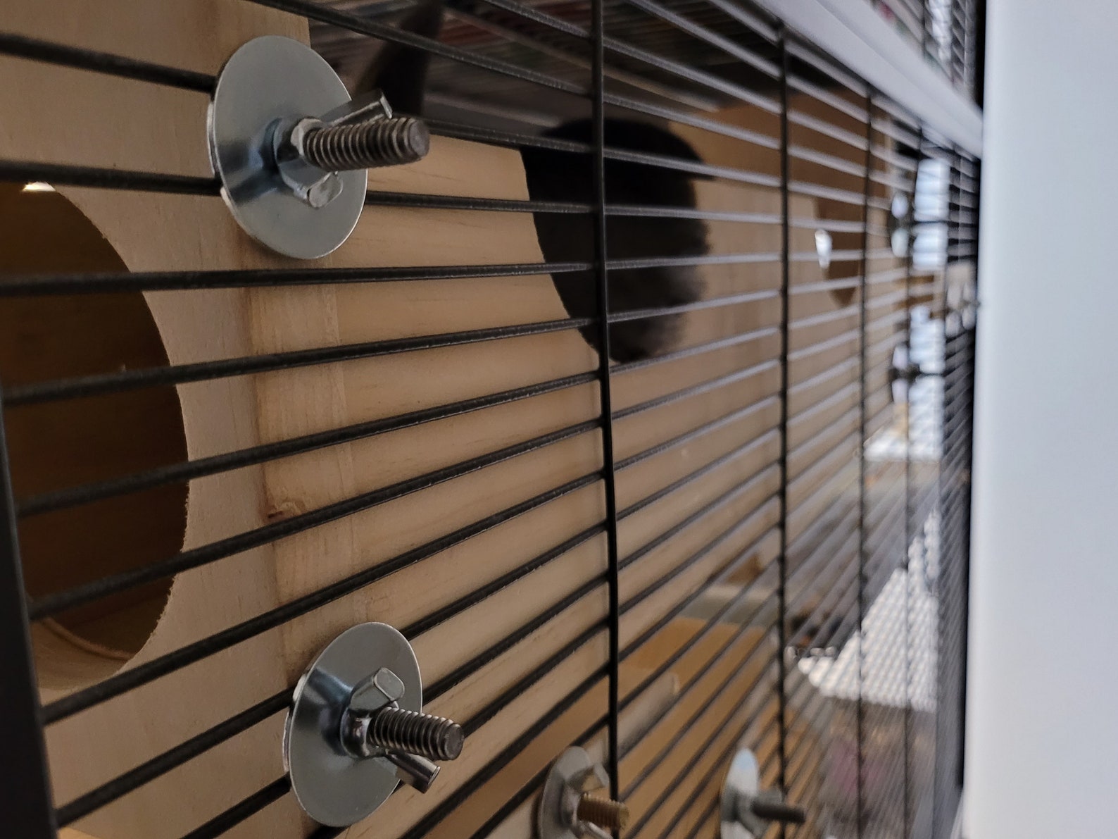 Chinchilla Overpass Bridge W/ 4x6 Ledge + Diamond Corner + Round Ledge ...