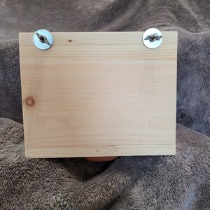 Chinchilla Chill Hanging Hideout House With Terracotta Cooling Bowl ...