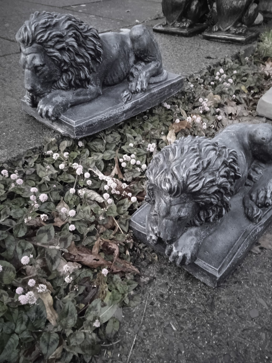 Roman Themed Vatican City Concrete Lions Finished in a Stone - Etsy