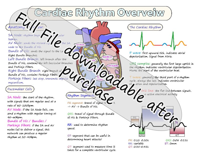 Heart Rhythm EKG Poster Cardiac Heart Rhythm Education - Etsy
