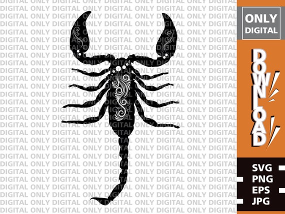 Cute Scorpion Svgscorpio Svg Scorpion Svg Scorpion | Etsy