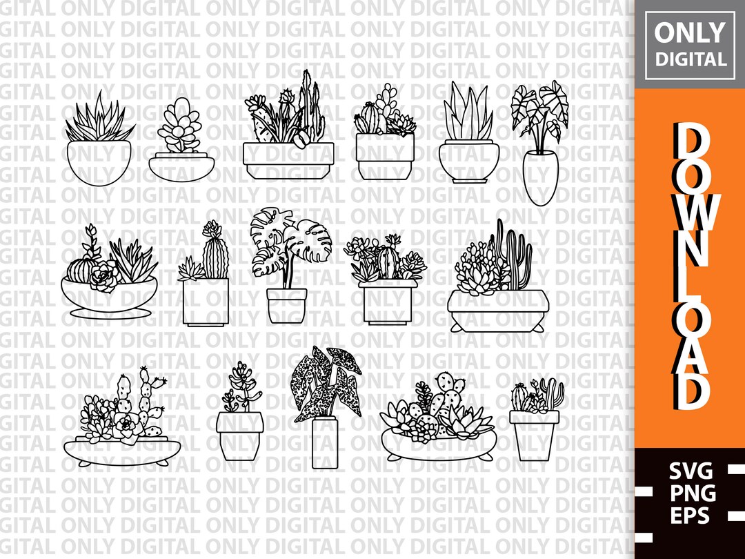 Succulent Clipart, Houseplant SVG Bundle, Hand Drawn Plants (digital ...