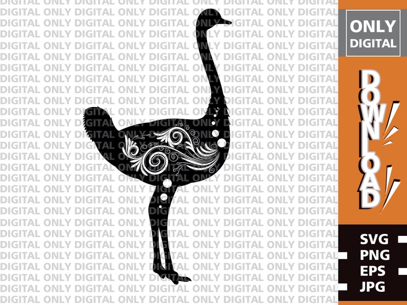 Ostrich Svg, Cute Ostrich Svg , Ostrich Svg Bundle, Ostrich Clipart ...