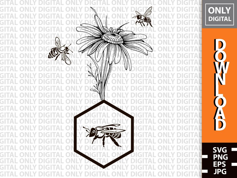 Honeycomb Svg Bee Svg Daisy Svg Bee Clipart Daisy Clipart - Etsy