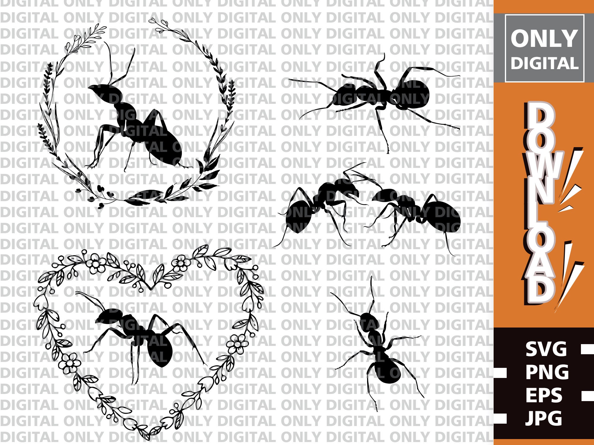 Ant Svg Ant PNG Ant Clipart Love Ant Svg Bugs Svg Floral - Etsy Canada