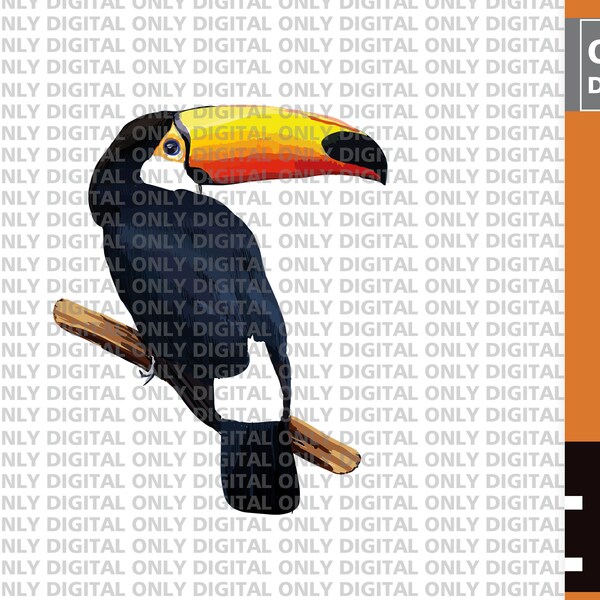 Toucan Svg - Etsy
