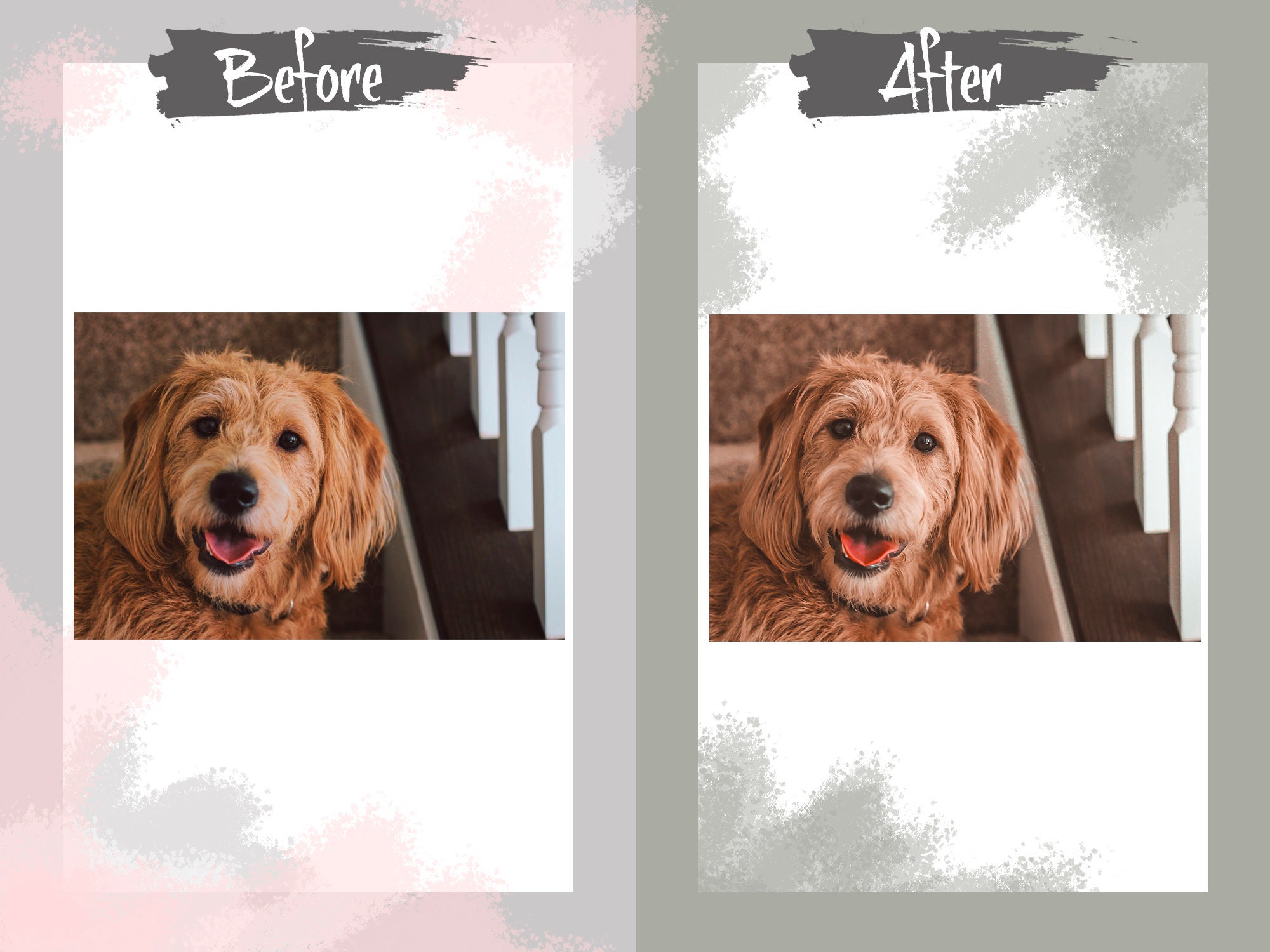 12 Dogs Lightroom Mobile Presets Dog Cat Photo Editing Filter - Etsy