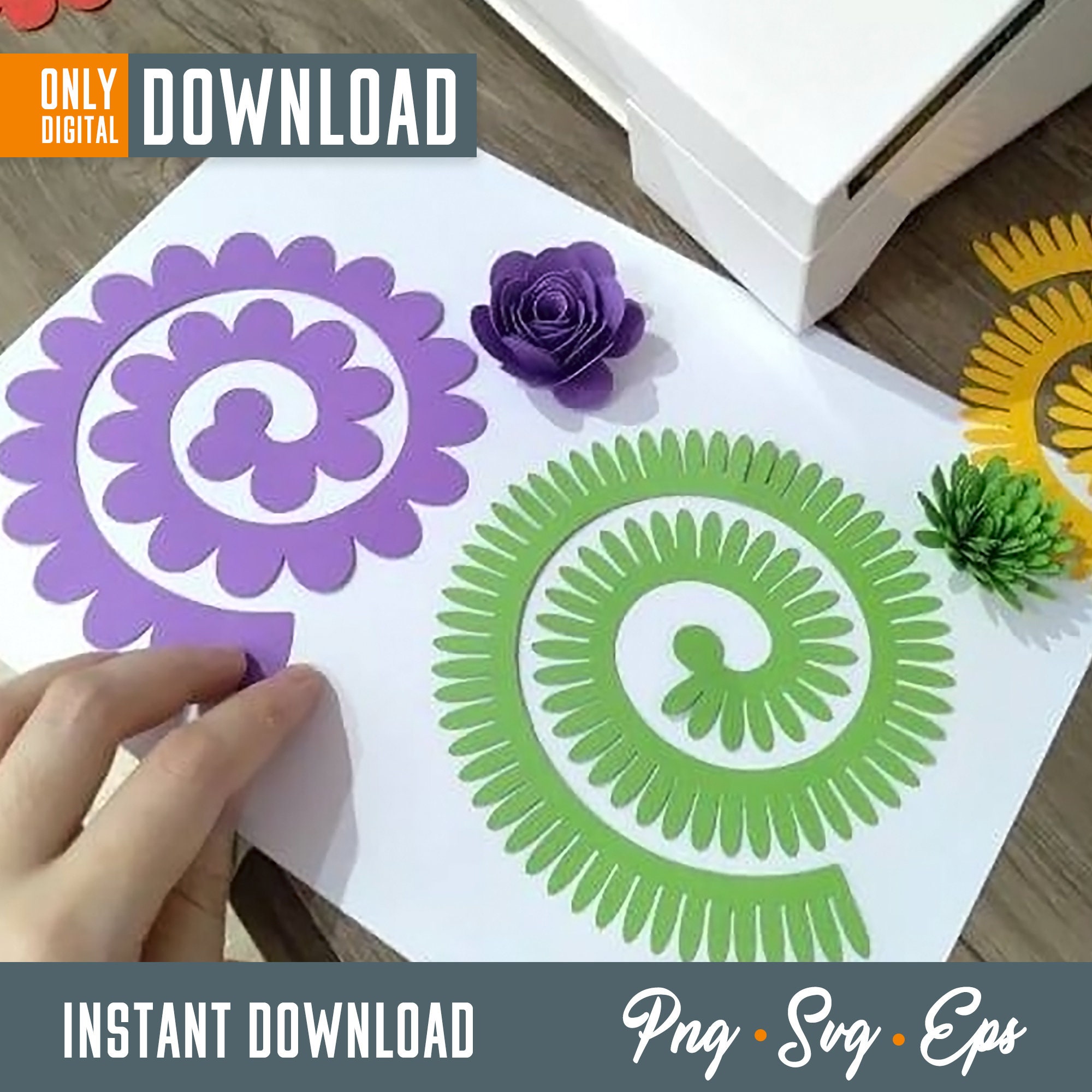 Rolled Flower Svg, Paper Flower Svg, Rolled Flower Svg, Rolled Paper ...