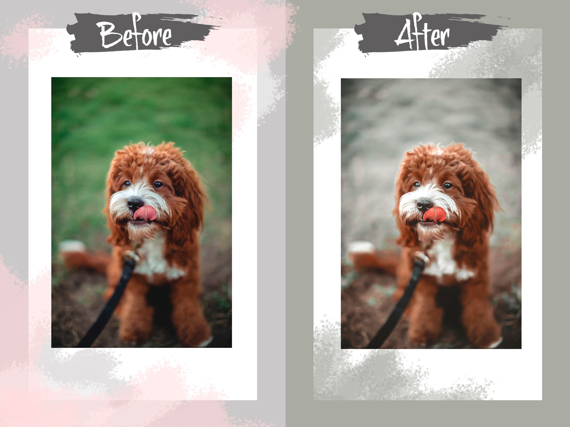 12 Dogs Lightroom Mobile Presets Dog Cat Photo Editing Filter - Etsy