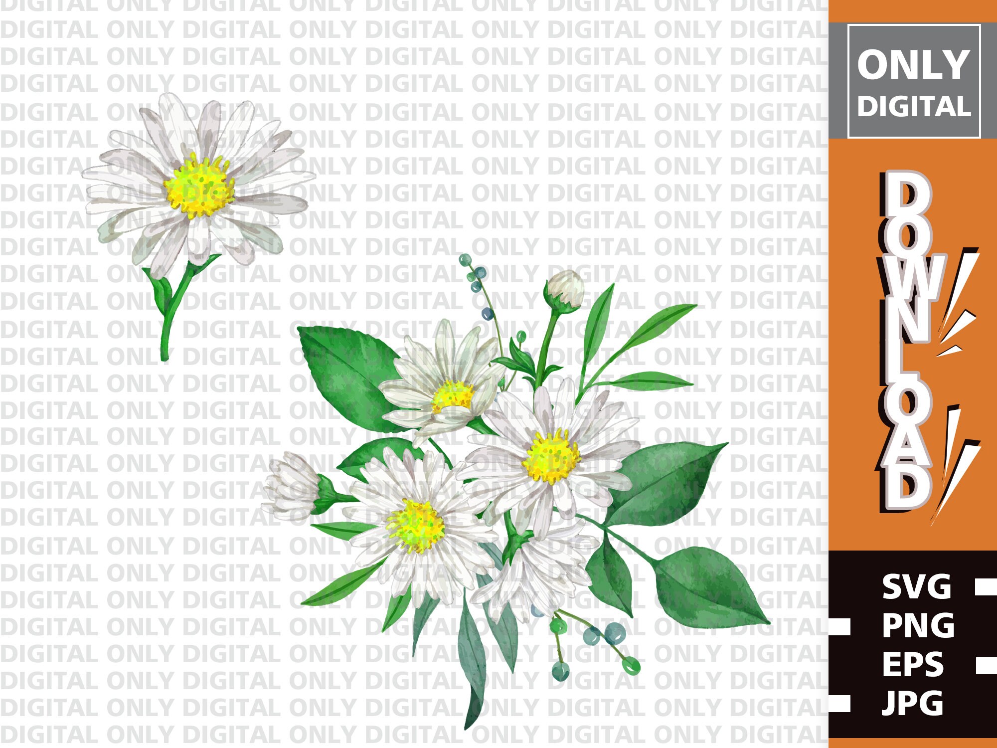 Watercolor Daisy Clipart, PNG SVG EPS (digital Download) - Etsy