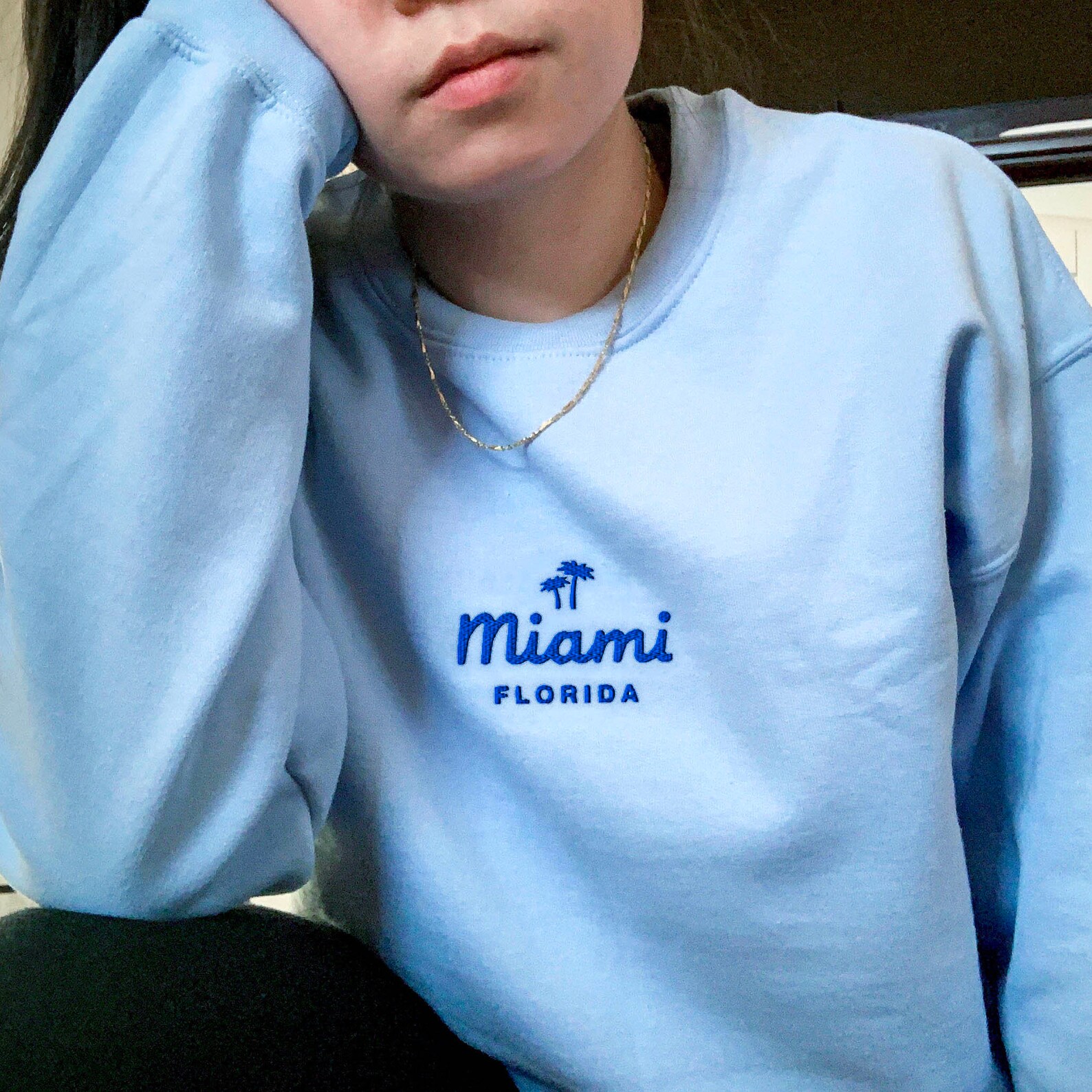 Miami Sweatshirt Vintage Crewneck, Florida Beach Shirt Embroidered ...