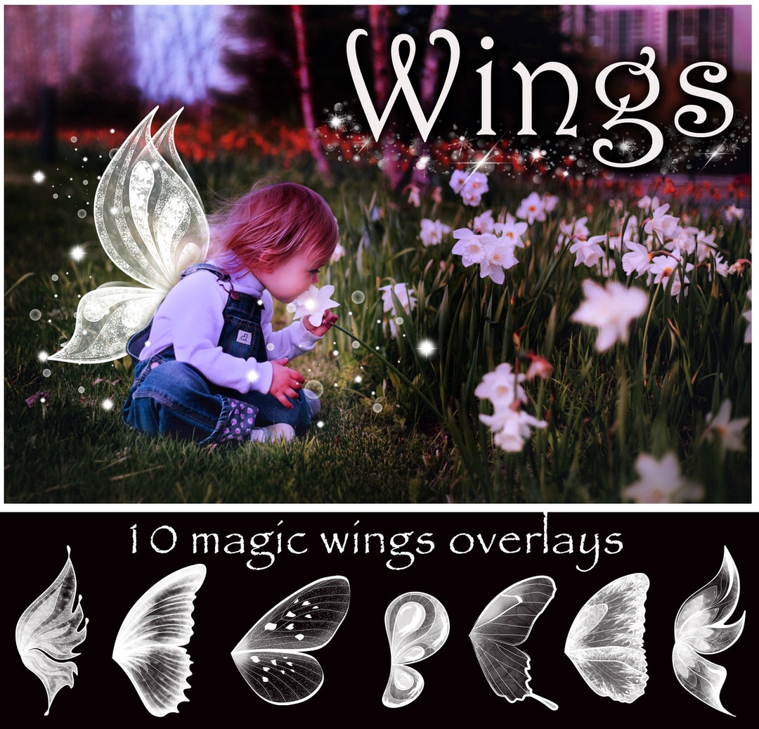 Magical Wings, Fairy Wings, Butterfly Wings, Alas De Mariposa, Alas De ...