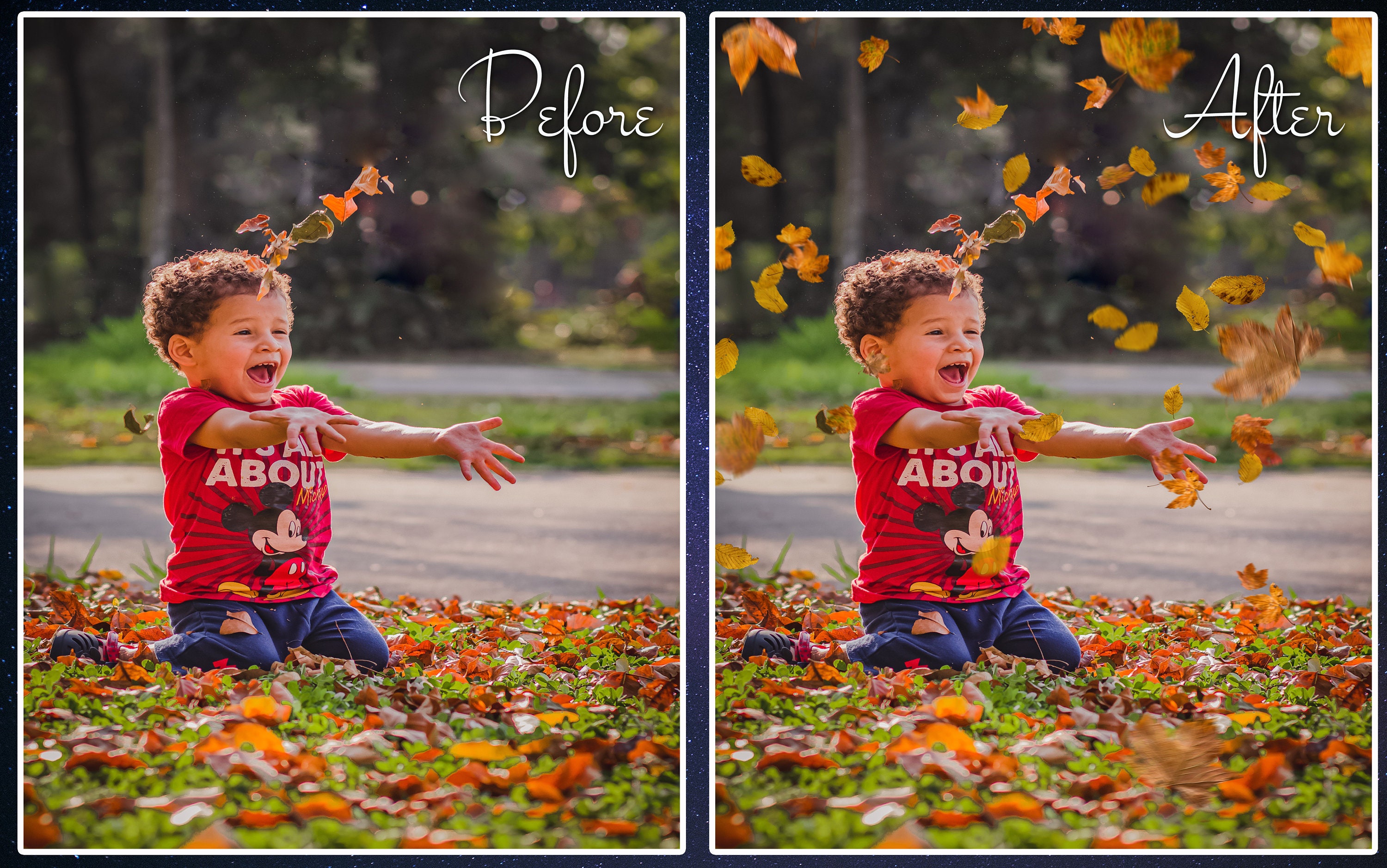 Flower Fall Overlay Bokeh Photoshop Flower Fall Overlay - Etsy UK