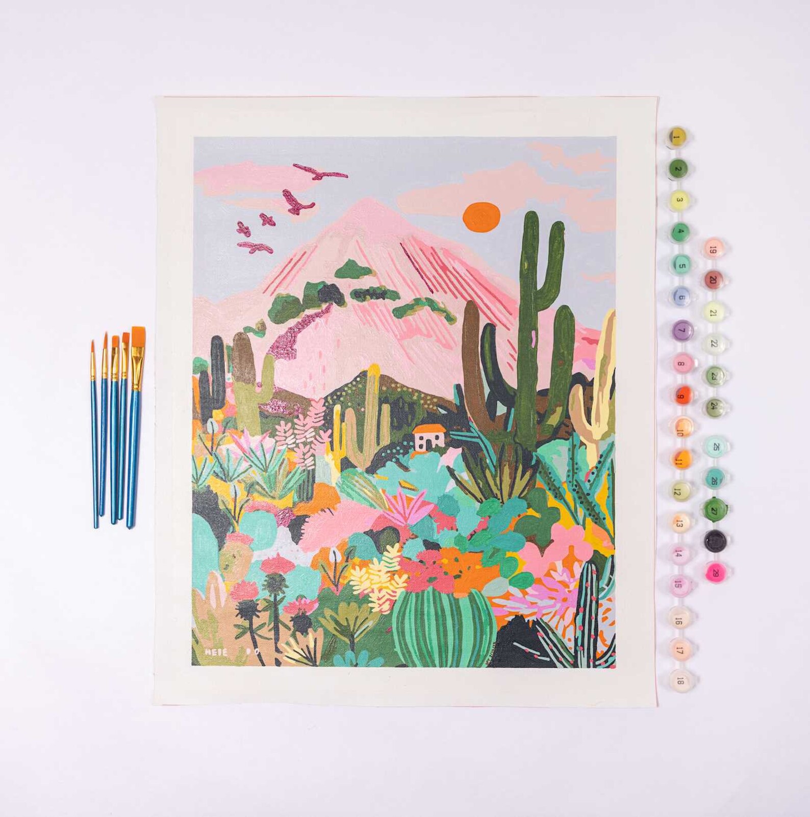 Cactus Desert by Hebe Studio Paint by Numbers Deluxe - Etsy