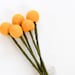 Felt Yellow Billy Buttons | Set of 5 Billy Buttons for Floral ...