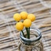Felt Yellow Billy Buttons | Set of 5 Billy Buttons for Floral ...