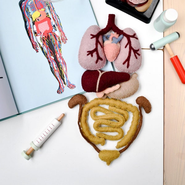 Human Body Felt - Etsy