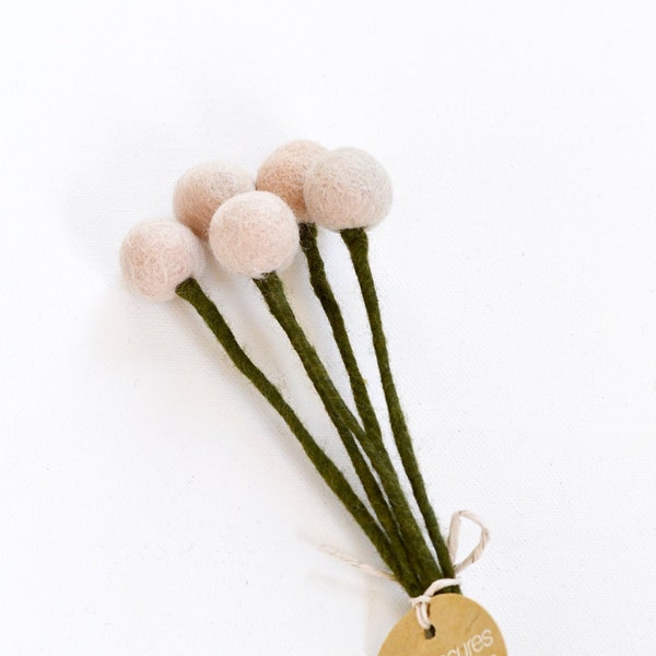 Billy Buttons - Etsy