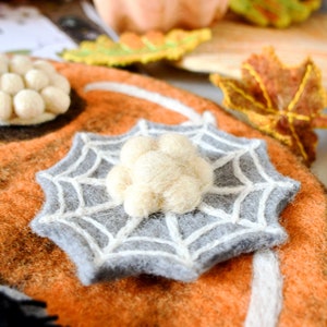 Felt Lifecycle of Redback Spider: Spider Life Cycle Toys, Australian ...