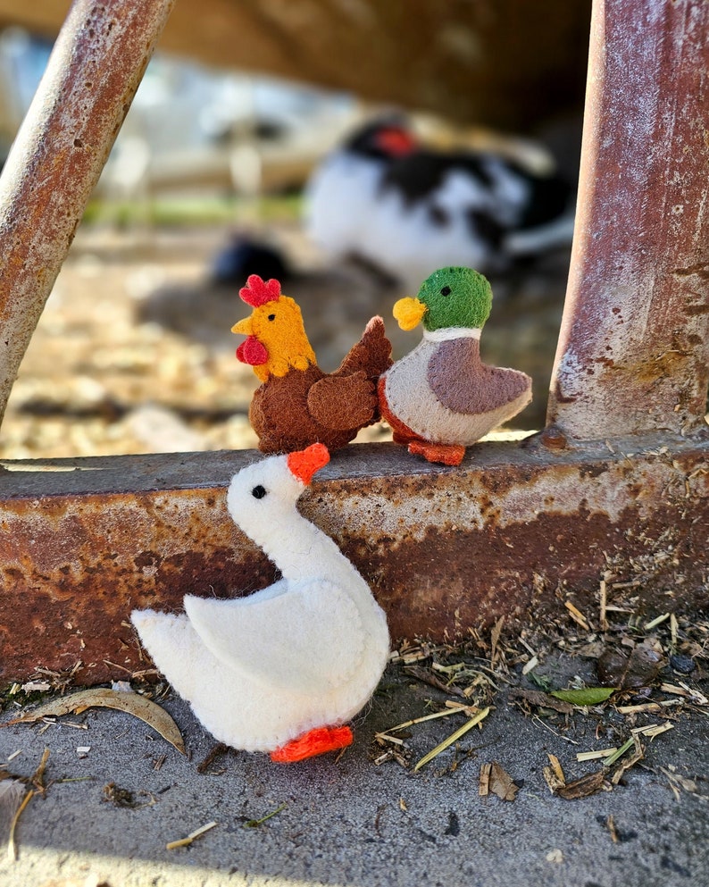 Felt Chicken Farm Animal Toy, Montessori Farm Hen Toy, Montessori ...