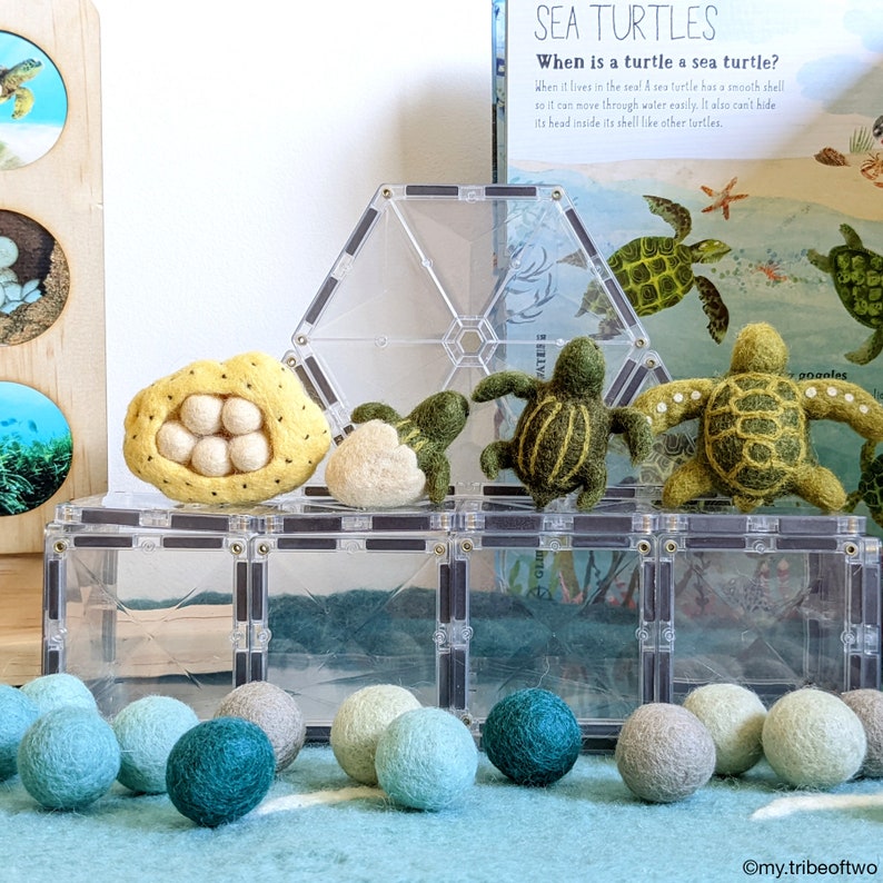 Lifecycle of Green Sea Turtle / Felt Turtles / Felt Turtles - Etsy
