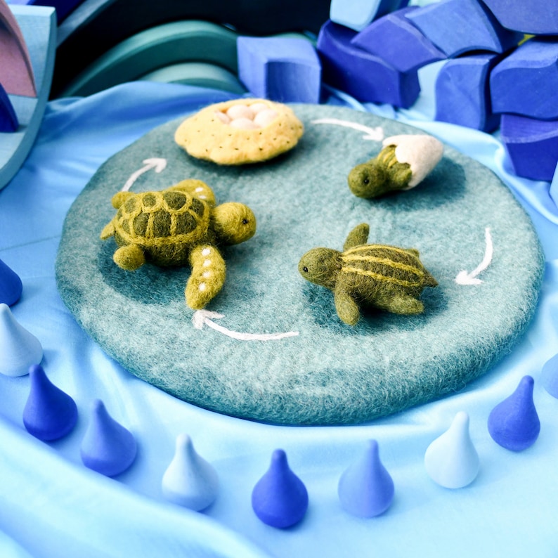 Lifecycle of Green Sea Turtle / Felt Turtles / Felt Turtles - Etsy