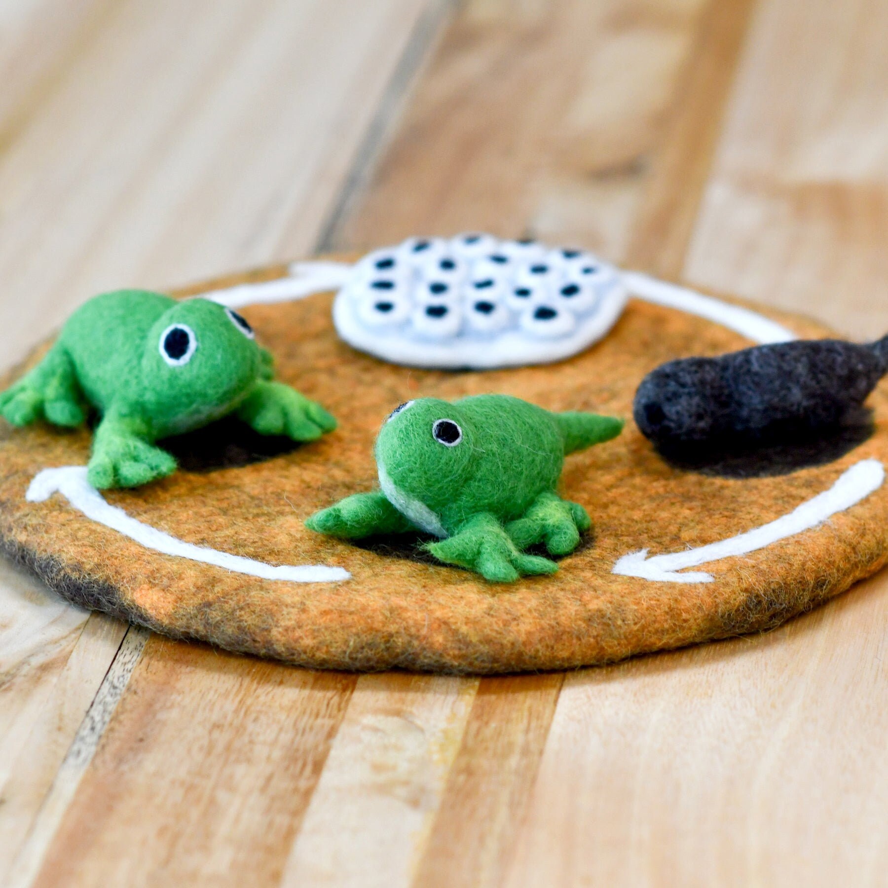 Felt Lifecycle of a Frog: Frog Life Cycle Toy, STEM Toy, Waldorf ...
