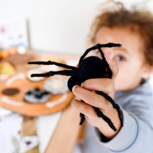 Felt Lifecycle of Redback Spider: Spider Life Cycle Toys, Australian ...