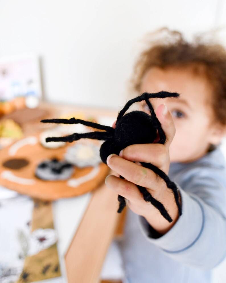Felt Lifecycle of Redback Spider: Spider Life Cycle Toys, Australian ...