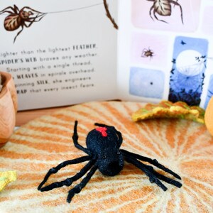 Felt Lifecycle of Redback Spider: Spider Life Cycle Toys, Australian ...