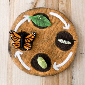 Lifecycle of Monarch Butterfly Toys / Felt Lifecycle Learning Toys ...