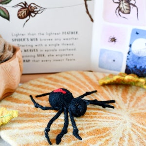 Felt Lifecycle of Redback Spider: Spider Life Cycle Toys, Australian ...