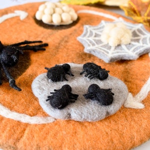 Felt Lifecycle of Redback Spider: Spider Life Cycle Toys, Australian ...