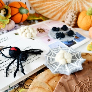 Felt Lifecycle of Redback Spider: Spider Life Cycle Toys, Australian ...