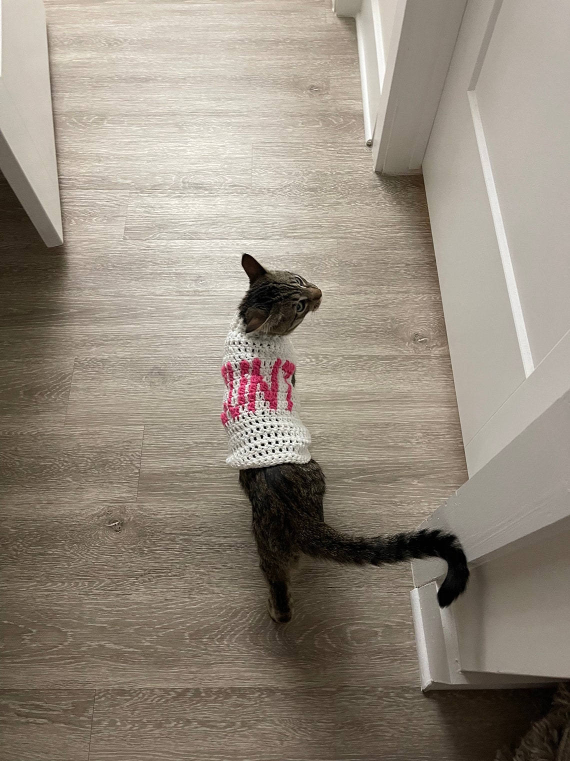 Custom Graphic cnt Cat Sweater - Etsy