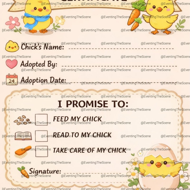 Chick Adoption Certificate - Etsy