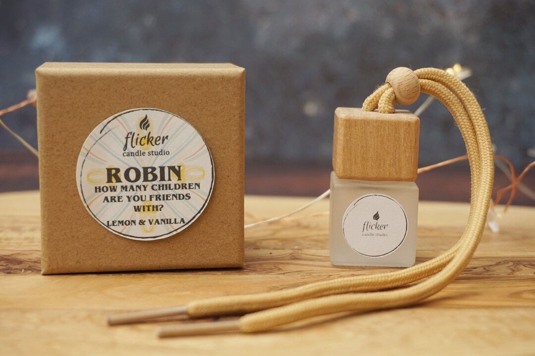 Robin Inspired by Stranger Things Car Diffuser &/ Refill - Etsy
