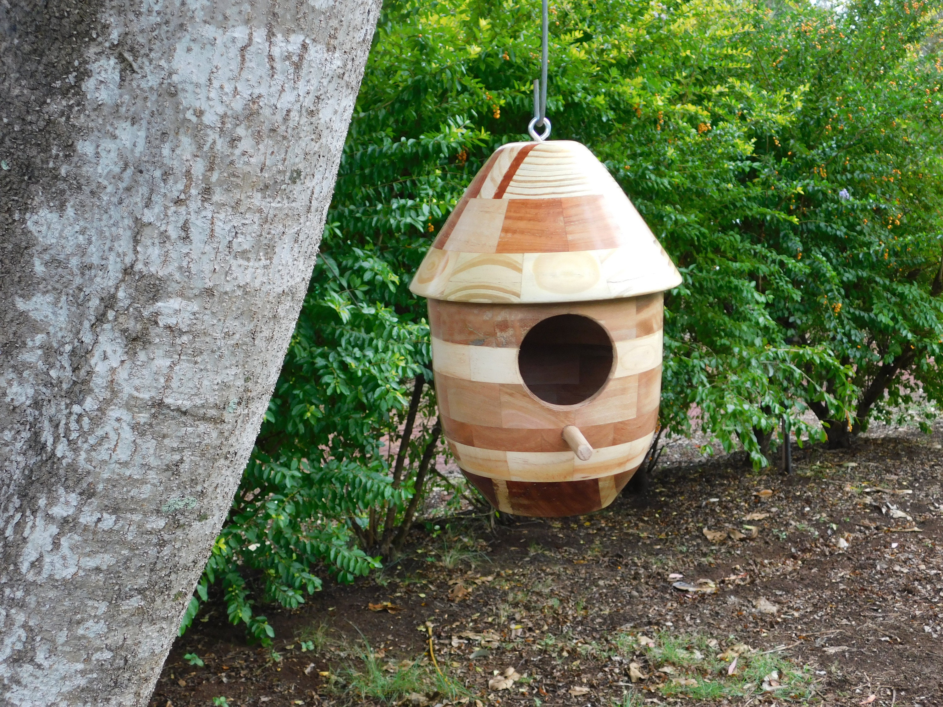 Hanging Birds Nest. - Etsy Australia