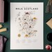 Walk Scotland - A3 Illustrated Map Checklist. 30 Mountain Walks of ...