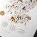 Walk Scotland - A3 Illustrated Map Checklist. 30 Mountain Walks of ...